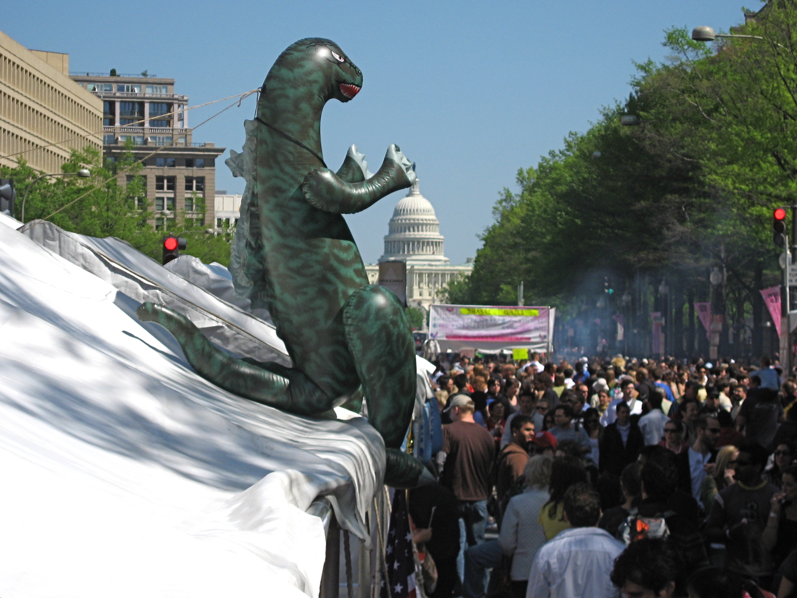 JRM Photos: Goji & Friends